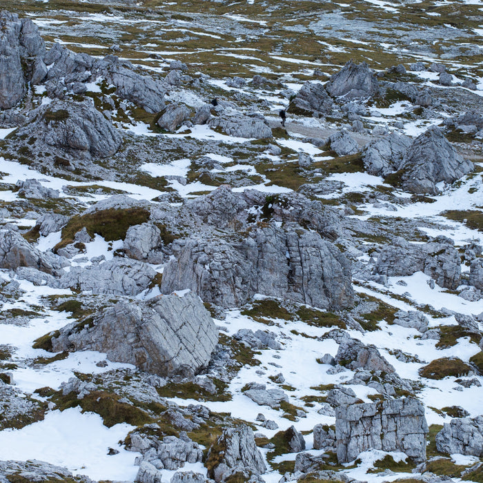 Cold + Frost — Greenmachine